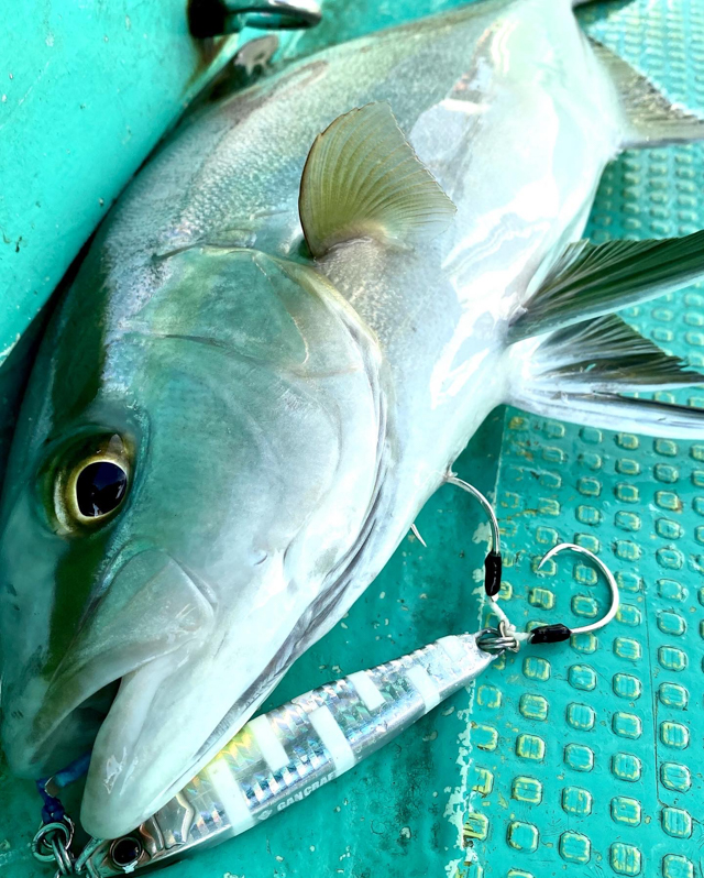 釣り具 - 清水商店のFishing Corner