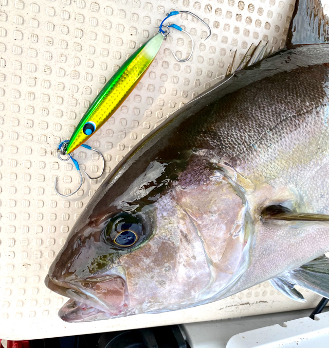 釣り具 - 清水商店のFishing Corner